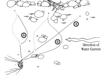 how to mend a fly line - iReviewGear.com